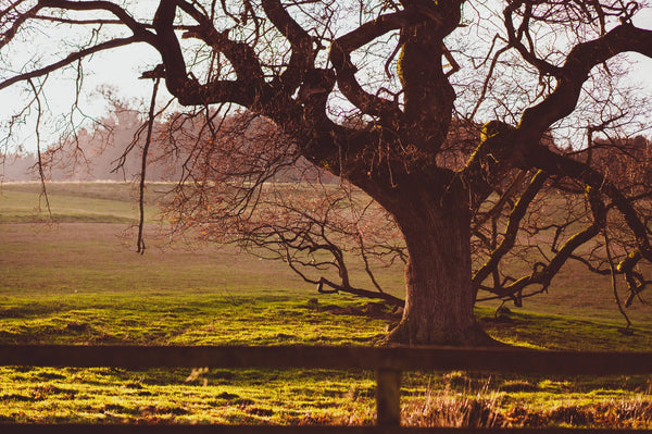 It started with HELLO! Claire’s Story – Lady A